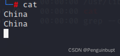 我记不住的strace命令参数_strace参数详解-CSDN博客
