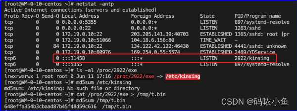 Virustotal查询恶意进程_virustotal怎么看分析-CSDN博客