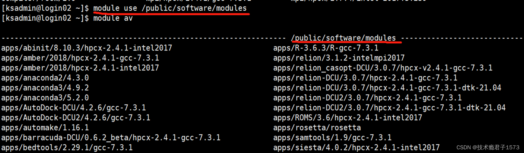 Linux基础-module命令使用（理论+实战）_linux module-CSDN博客