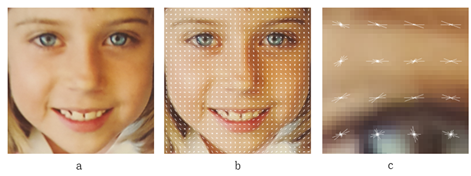 HOG算法详解-CSDN博客