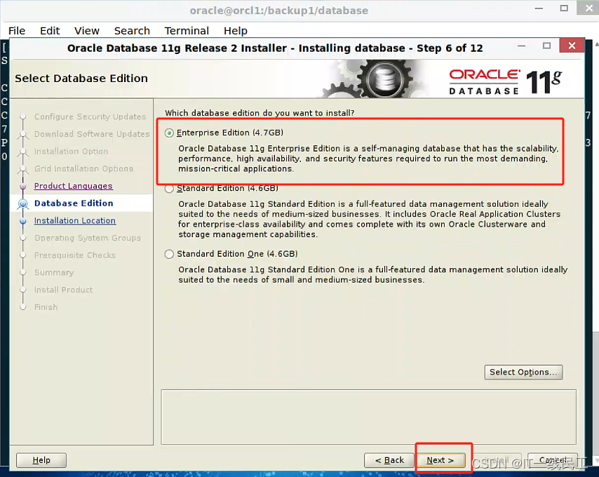 麒麟服务器操作系统V10sp2-0524-x86_64安装Oracle11gr2_麒麟系统安装oracle-CSDN博客