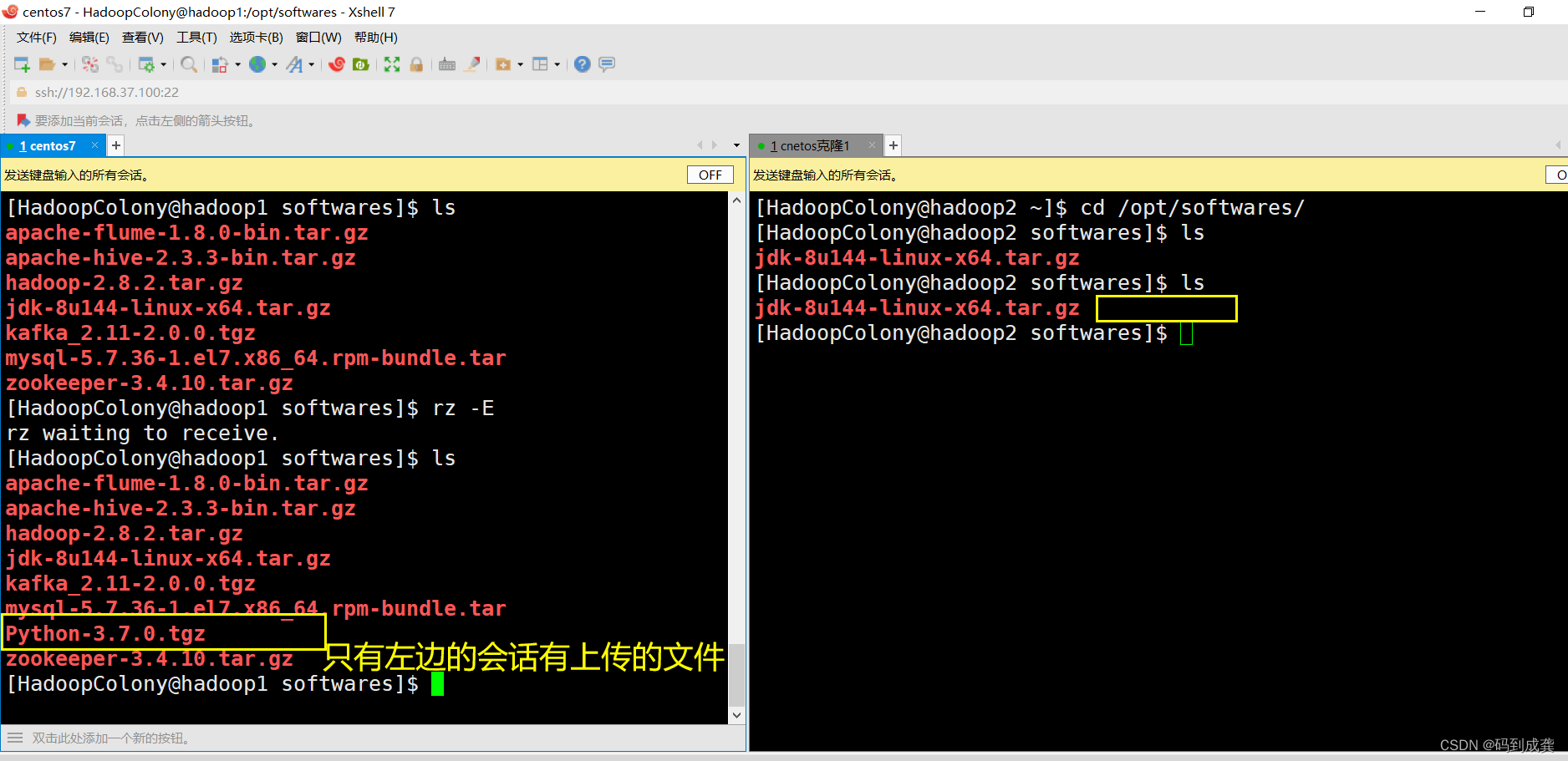 Python012--python3.7在本地及虚拟机上的安装与配置_虚拟机安装python3.7-CSDN博客