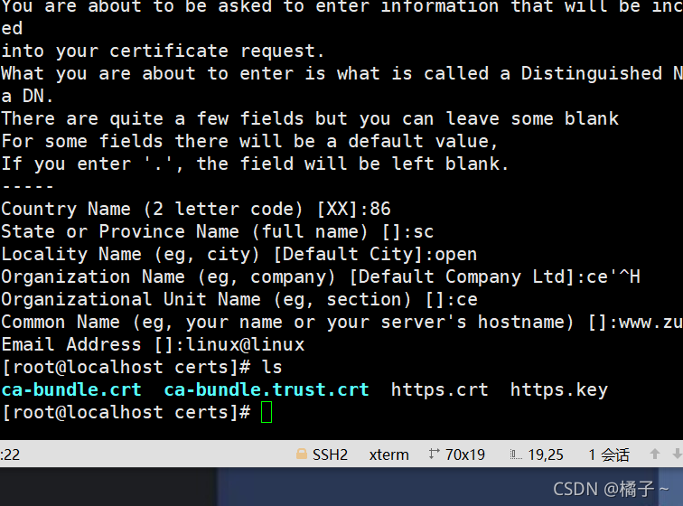 搭建一个基于https://zuoye.com:4443服务访问的web网站-CSDN博客