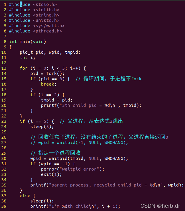 Linux学习日记15——exec函数族、回收子进程_execvp-CSDN博客