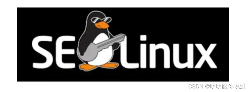 SELinux深度解析：安全增强型Linux的探索与应用（上）_selinux中的 客体-CSDN博客