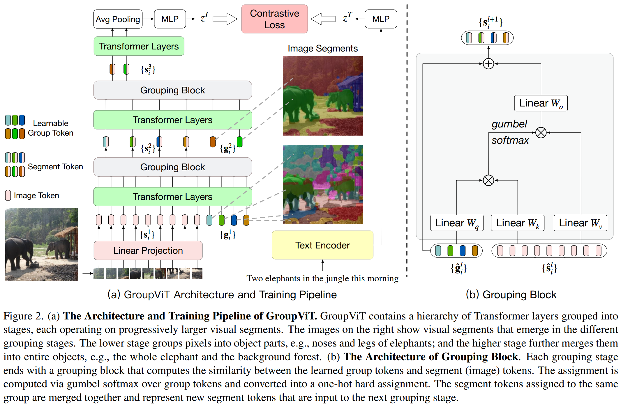 论文阅读——GroupViT-CSDN博客