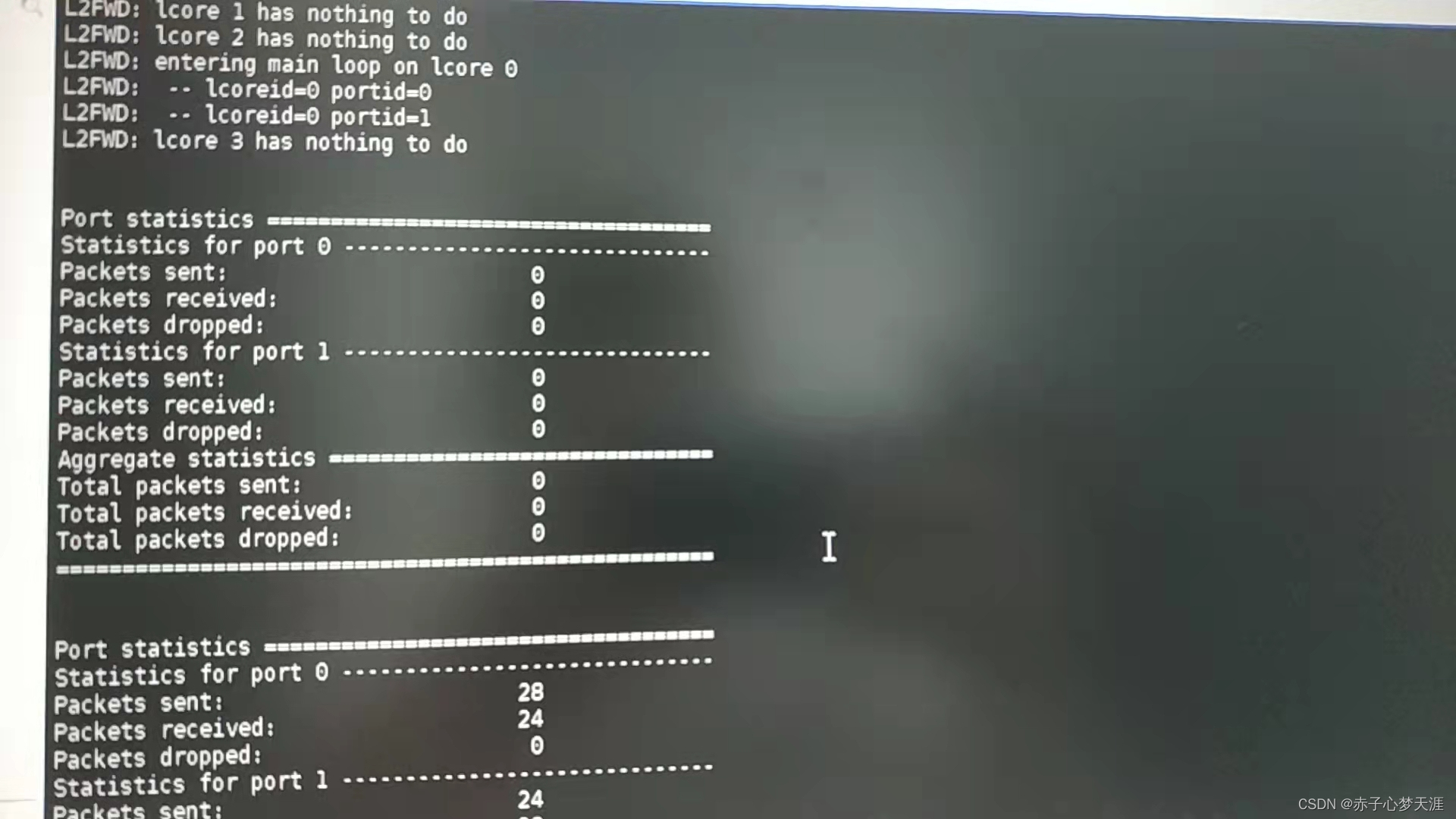 DPDK示例之EAL初始化时出错_cannot init eal-CSDN博客