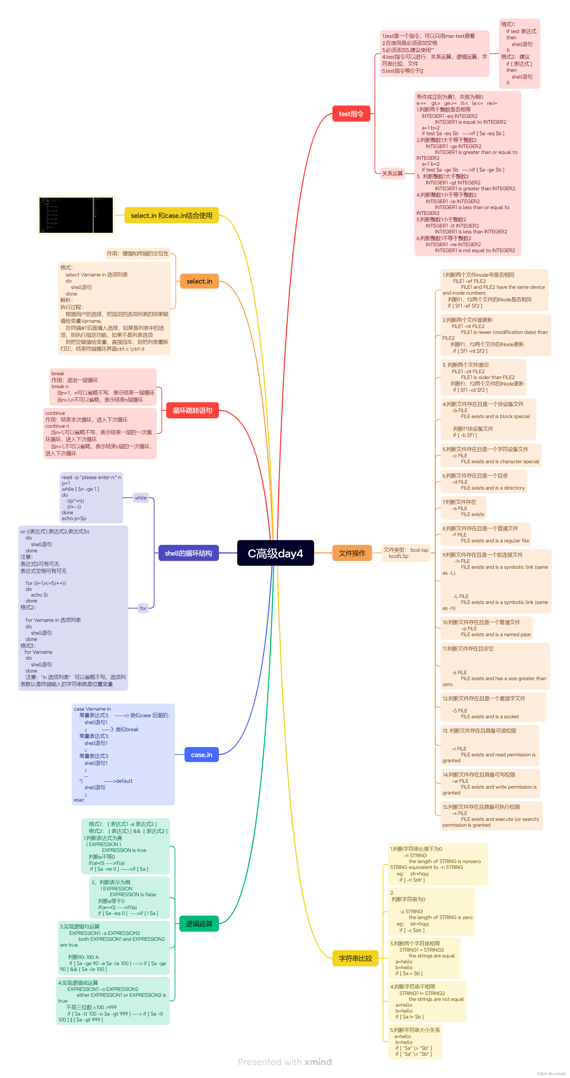 C高级day4-CSDN博客