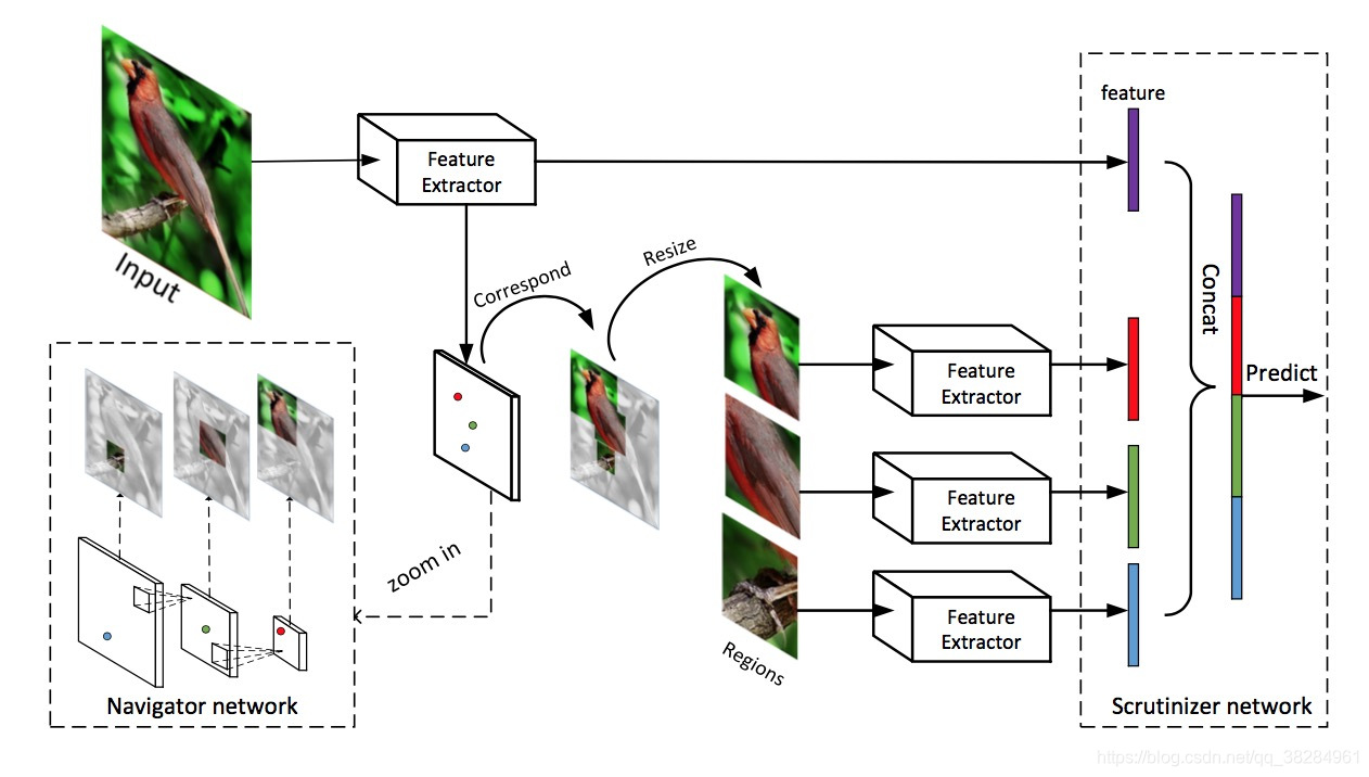Learning to Navigate for Fine-grained Classification 论文阅读详解_learning to navigate for fifine ...
