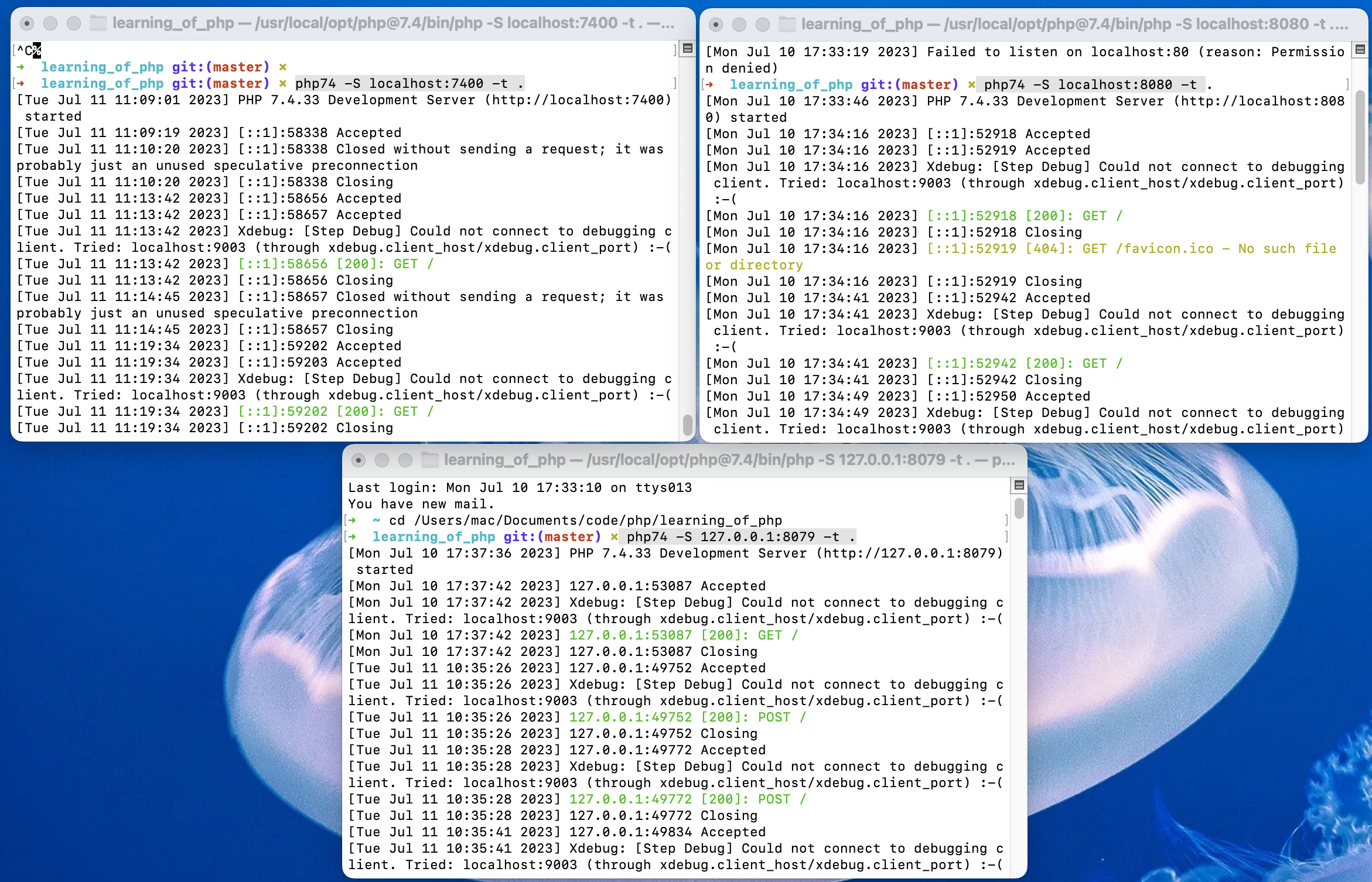 ApiPost - 踩坑指南_apipost localhost-CSDN博客