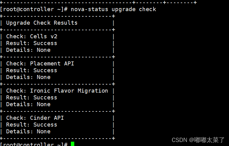 【Openstack Train安装】九、Nova安装-CSDN博客