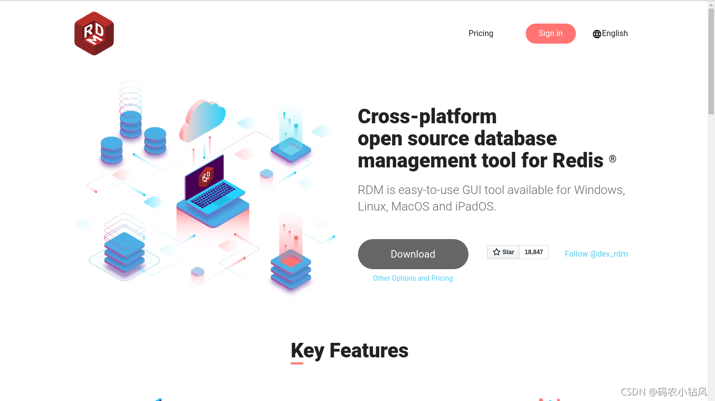 Linux(Debian11)安装Redis和RedisDesktopManager_linux11 apt-get install redis-CSDN博客