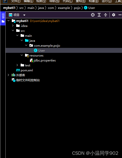 MyBatis开发环境搭建_com.example.mapper-CSDN博客