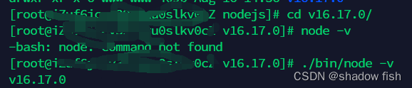 服务器(linux)配置node环境及运行ts文件(express框架)linux操作系统安装ts Node Csdn博客