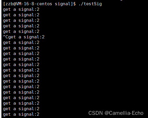 【Linux从青铜到王者】进程信号-CSDN博客