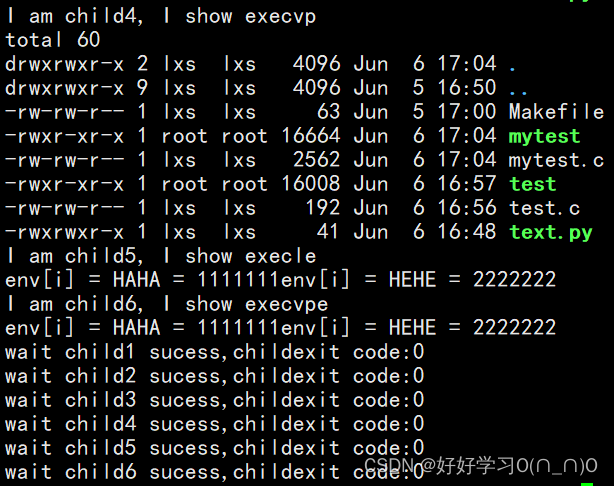 LINUX----进程替换,exec族函数_python调用linix exec命令,设置进程名称-CSDN博客