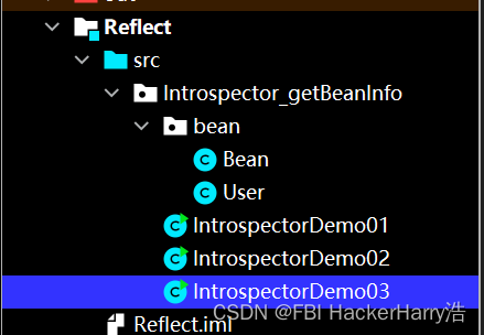 深入学习java源码之Introspector.getBeanInfo()与BeanInfo类的getPropertyDescriptors()方法-CSDN博客