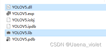 Yolov5训练自己的数据集+TensorRT加速+Qt部署_tensorrt yolov5-CSDN博客