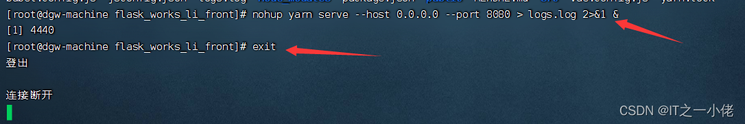 nohup & 退出shell终端后，服务仍然断开_窗口关闭nohup仍然停止-CSDN博客