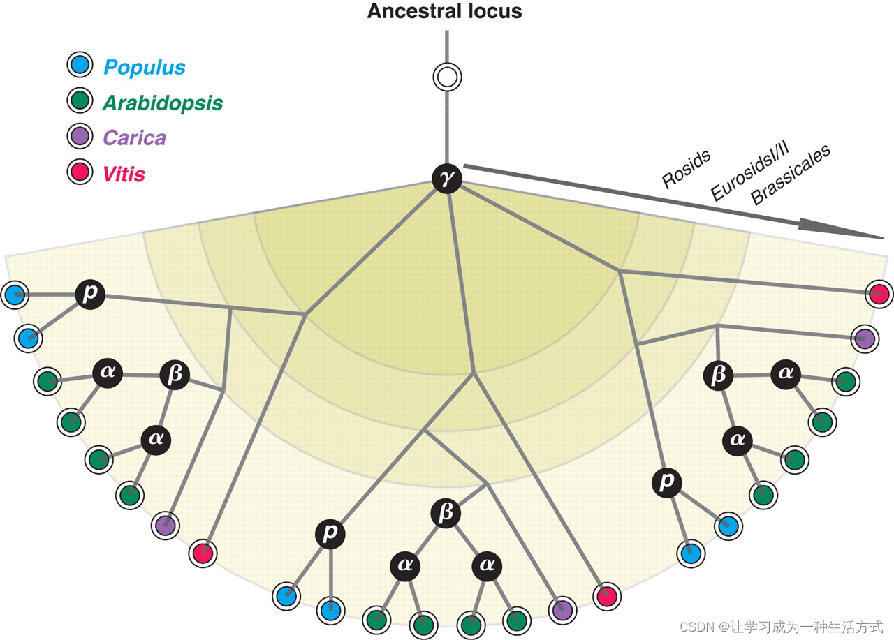 JCVI-筛选blast最佳结果（生物信息学工具-015）-CSDN博客