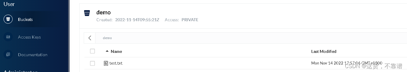 Linux搭建minio及mc客户端使用_minio mc-CSDN博客
