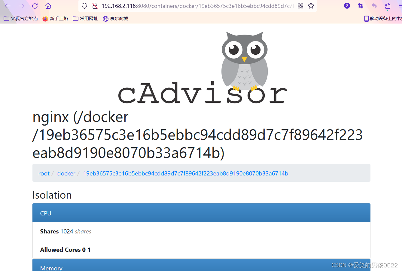 构建Docker容器监控系统(Cadvisor +InfluxDB+Grafana)_docker cadvisor-CSDN博客