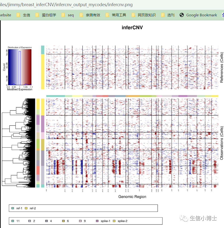 infercnv 三回首：深入理解infercnv为何能发nature-CSDN博客