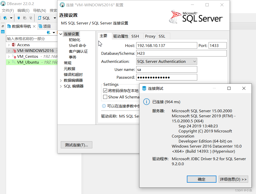 DBeaver 如何远程连接安装在Window Server2016的SQL server 2019_dbeaver连接sqlserver-CSDN博客
