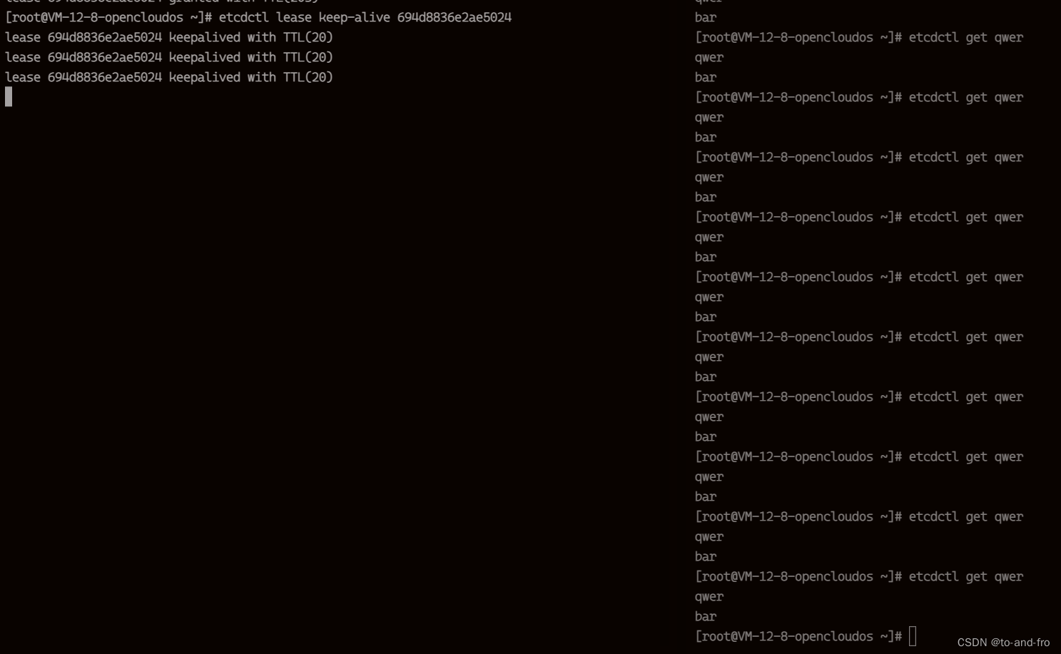ETCD安装部署与etcdctl常用命令_etcdctl 安装-CSDN博客