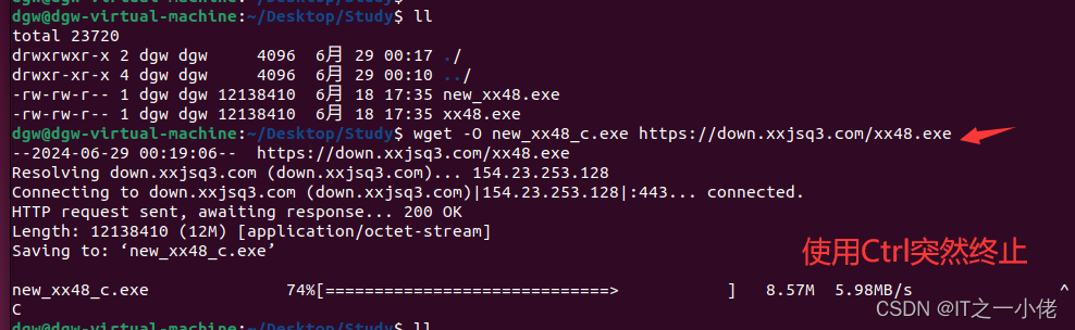 Linux系统中wget命令用法详解_linux wegt-CSDN博客