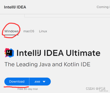 jdk11安装及IDEA安装记录-CSDN博客