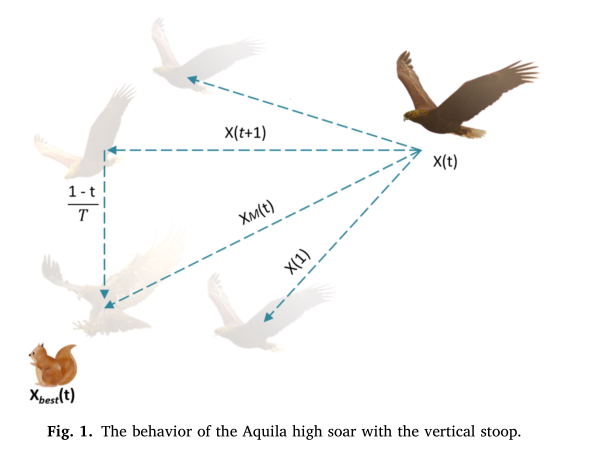 【智能优化算法】Aquila Optimizer：一种元启发式优化算法-CSDN博客