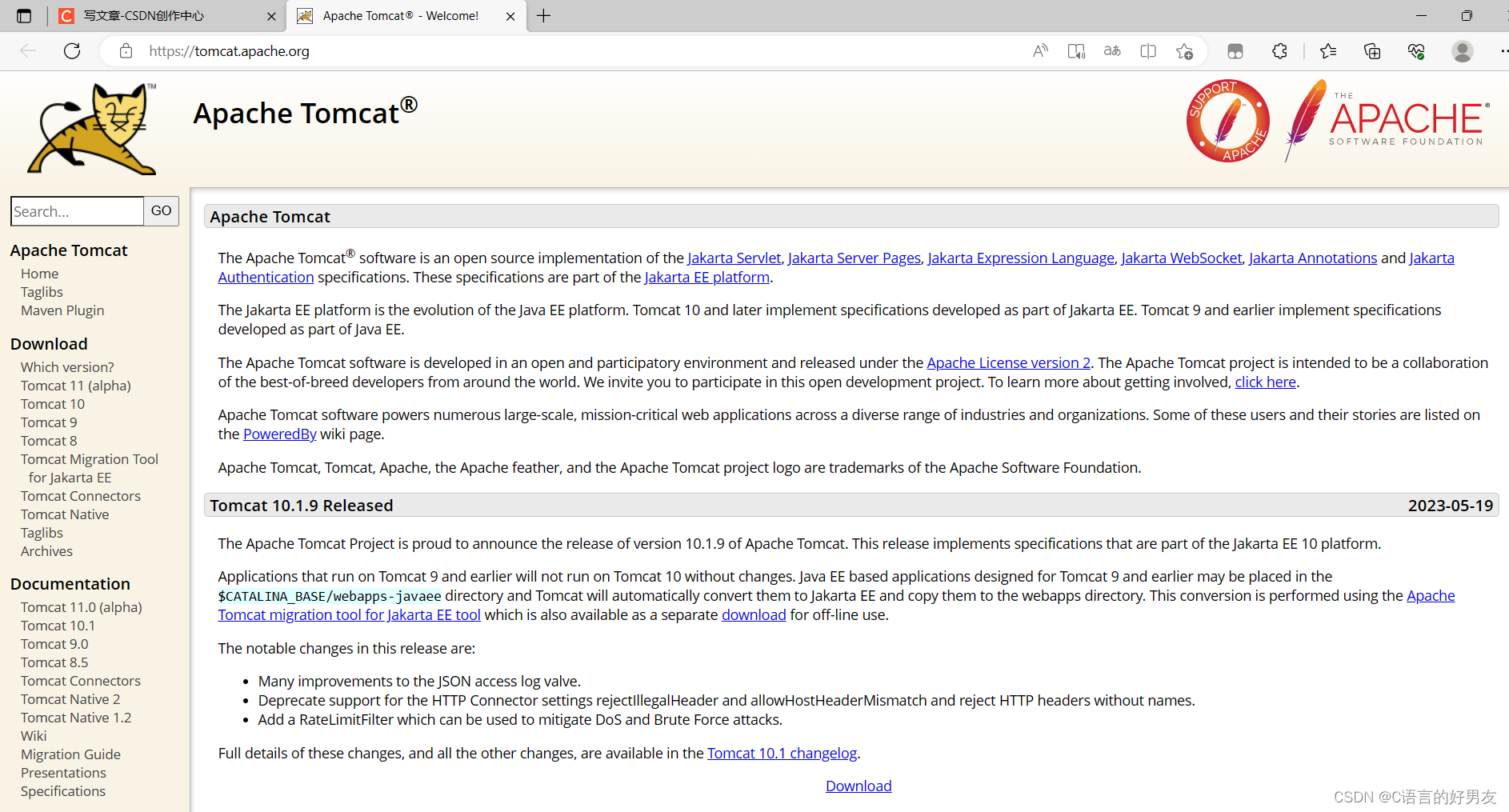 Tomcat_tomcat8.5.89-CSDN博客