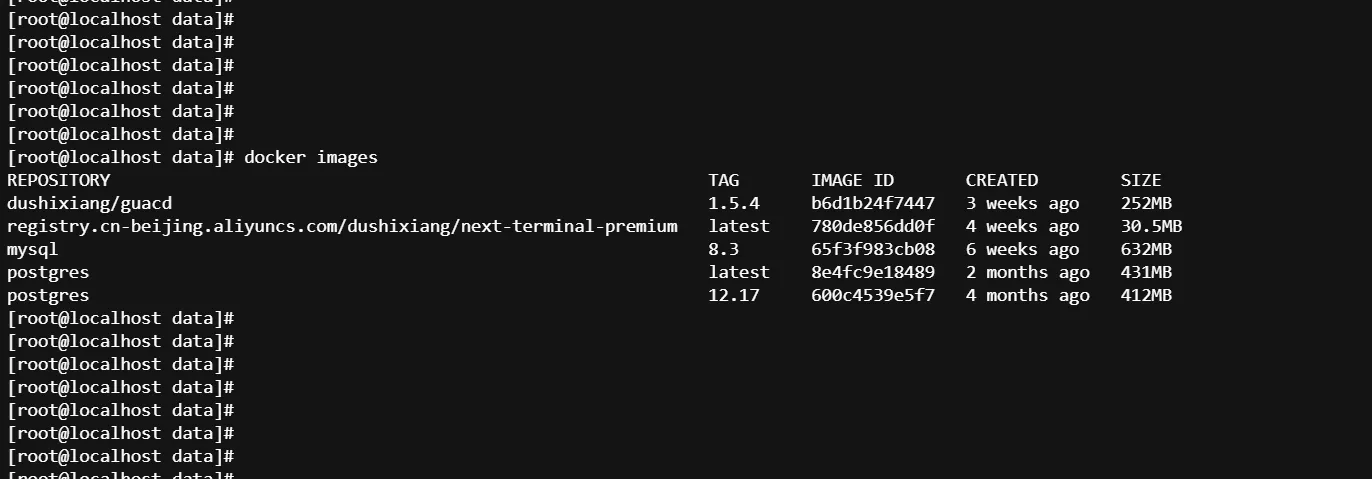 Docker安装PostgreSQL_pgsql docker 下载-CSDN博客