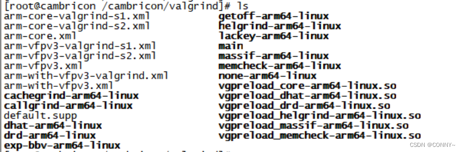 内存泄漏，valgrind移植到arm64的完整记录_valgrind arm-CSDN博客