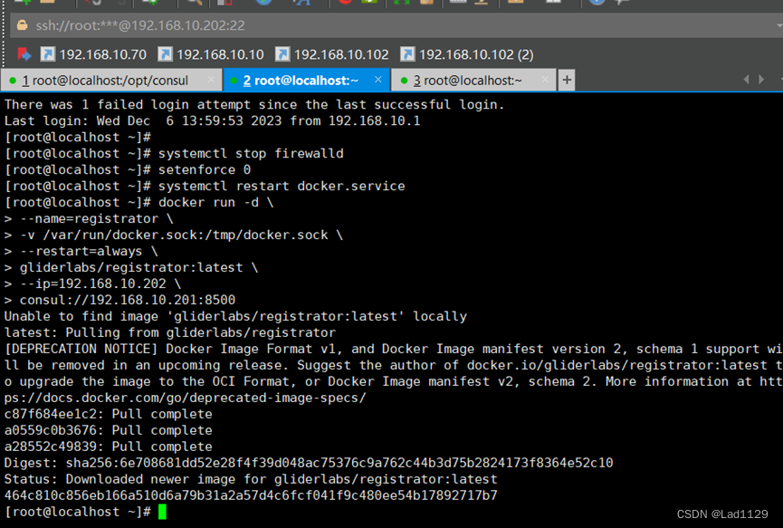 docker consul容器自动与注册_consul自动注册-CSDN博客