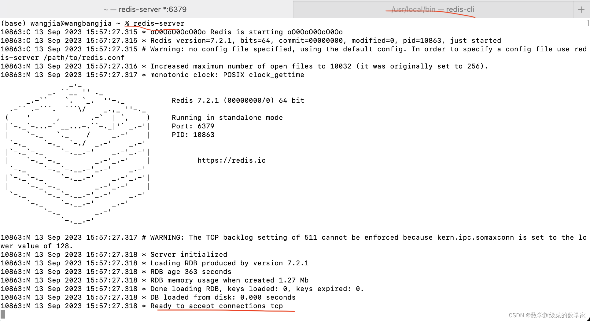 Redis核心原理与应用实操_redis实操-CSDN博客
