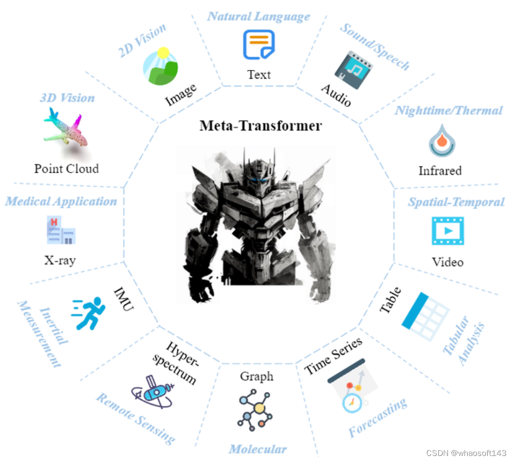 Meta-Transformer-CSDN博客