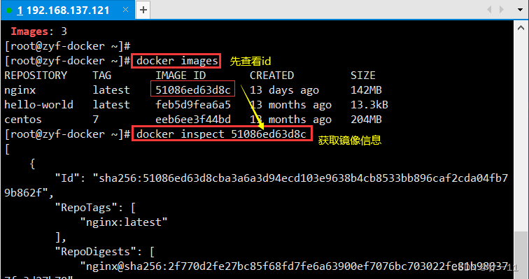 Docker：（三）docker镜像与容器基本的基本操作_在容器立面输入docker ps-CSDN博客