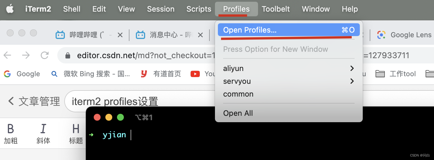 iterm2 profiles设置-CSDN博客