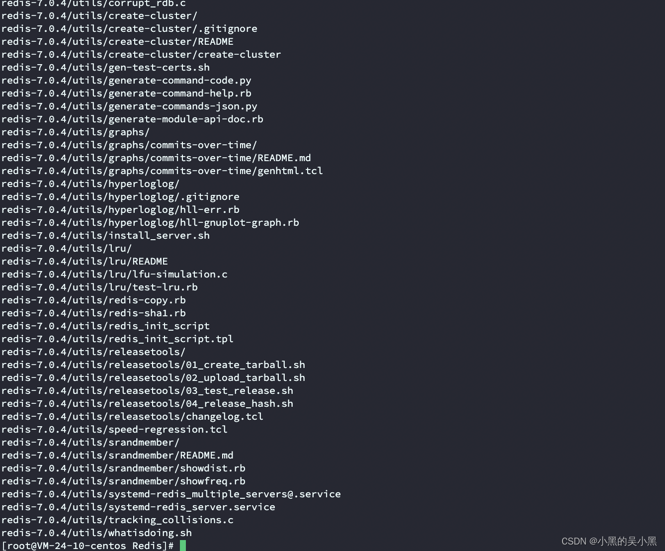 2023年 Linux Redis 7.0安装（单机版）（详细教程）_redis7.0下载-CSDN博客