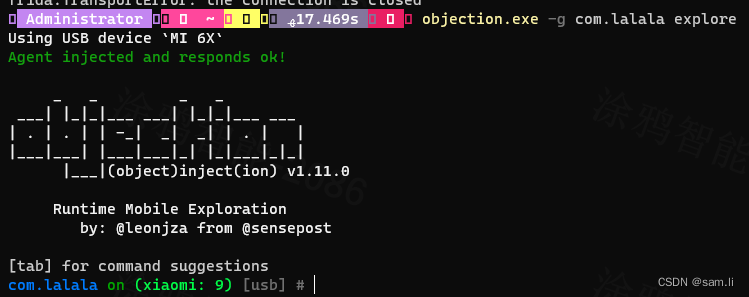 Objection：Frida命令行Hook工具详解与实战,-CSDN博客