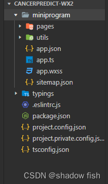 微信小程序在TS模板下引入TDesign组件_tdesign-miniprogram-CSDN博客