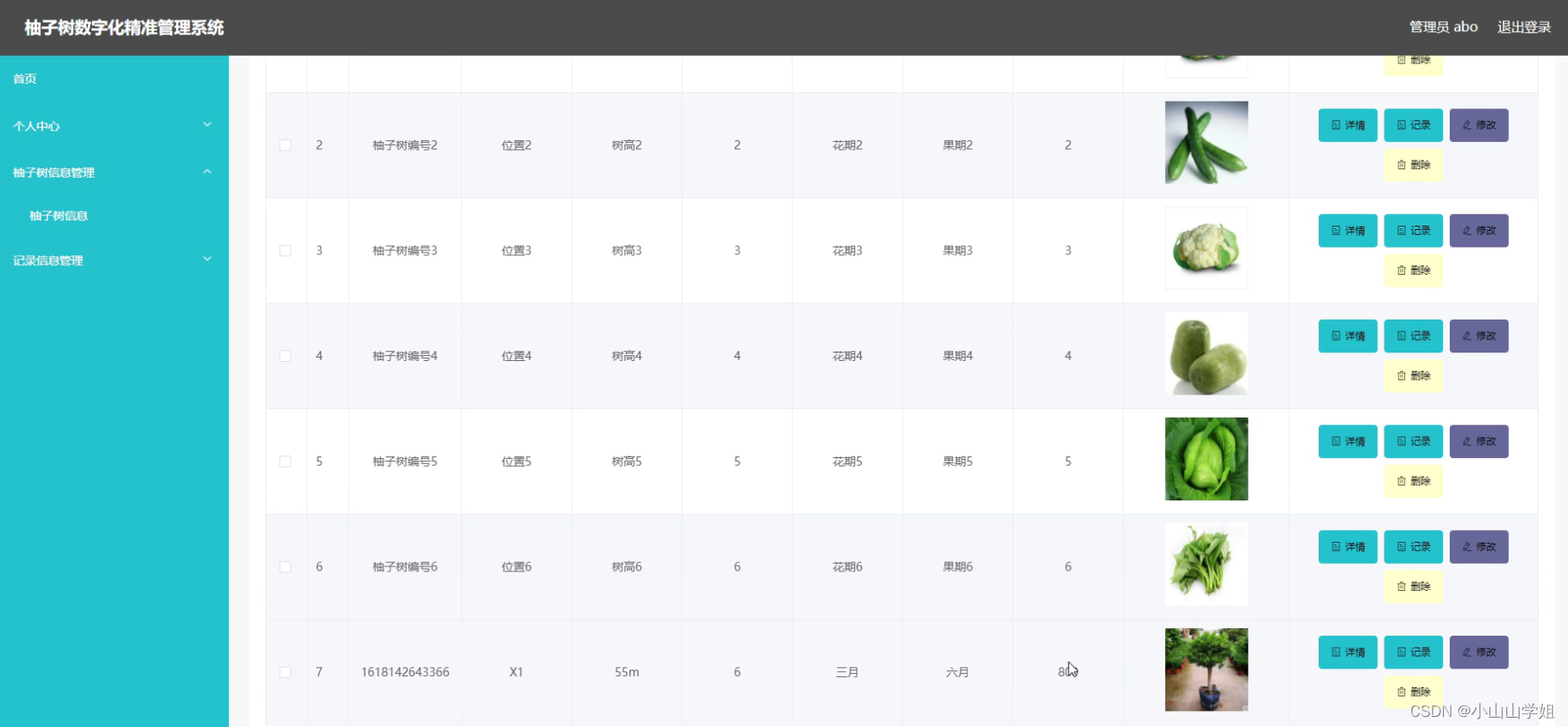 Java毕设项目柚子树数字化精准管理系统（javavuemybatismavenmysql）java数字化方面的项目是什么 Csdn博客