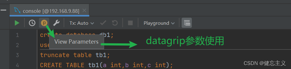 DataGrip SQL参数使用_dategrip ${}传入参数-CSDN博客