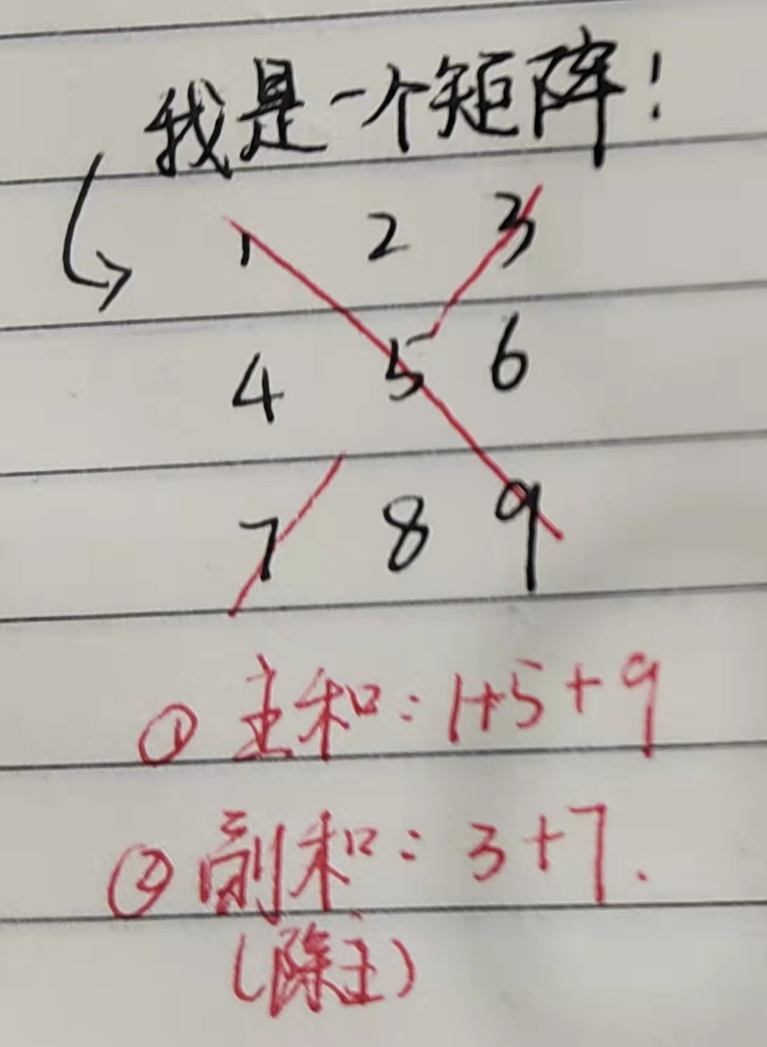 【阅后笔记】英雄哥的《leetcode零基础指南》第八讲 二维数组使二进制矩阵可逆 Csdn博客