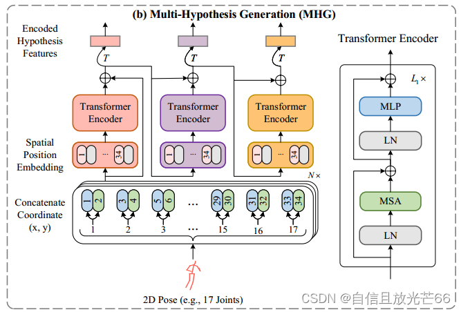 论文阅读-《MHFormer: Multi-Hypothesis Transformer for 3D Human Pose Estimation》-CSDN博客