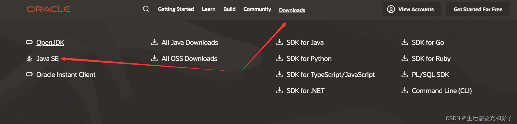 如何在Oracle官网下载java的JDK最新版本和历史版本_java downloads | oracle-CSDN博客