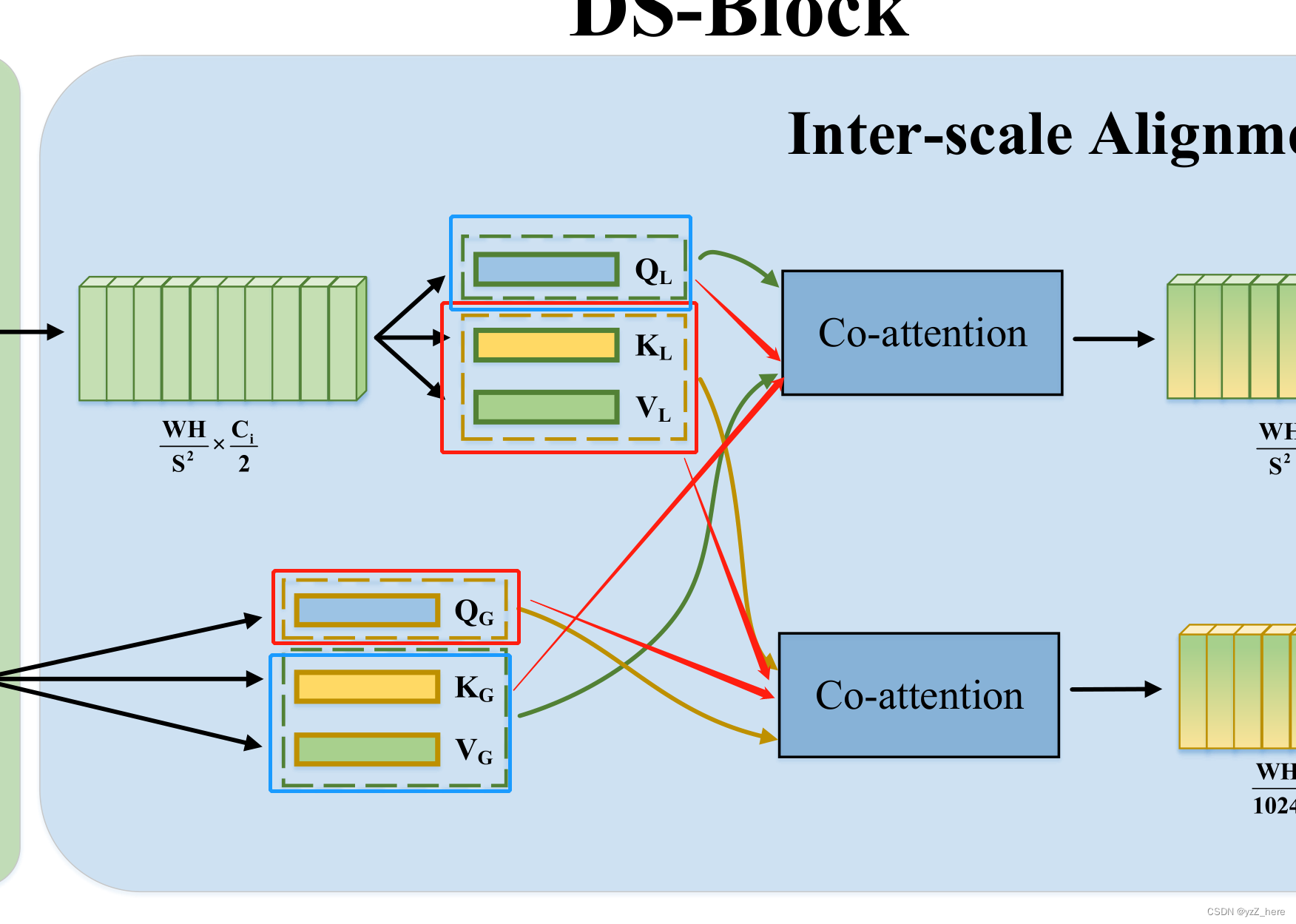 Dual-stream Network for Visual Recognition论文记录-CSDN博客