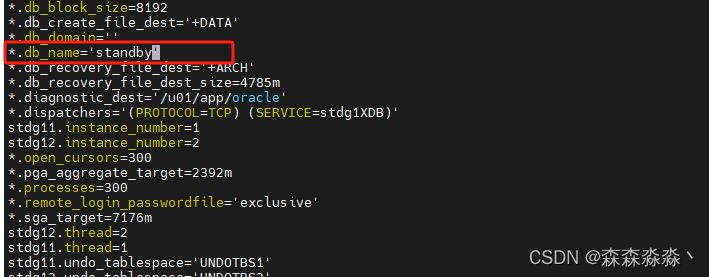 搭dg mount报错ora-01103 database name XXXX in control file 处理-CSDN博客